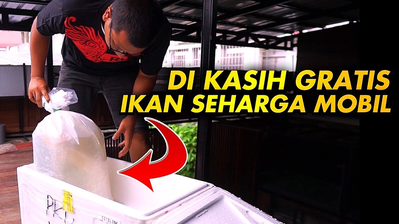 #75- UNBOXING IKAN SEHARGA MOBIL - MEGATANK 100TON - YouTube