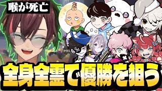 kinako（Crazy Raccoon） / ブィレーダー - Vtuber情報