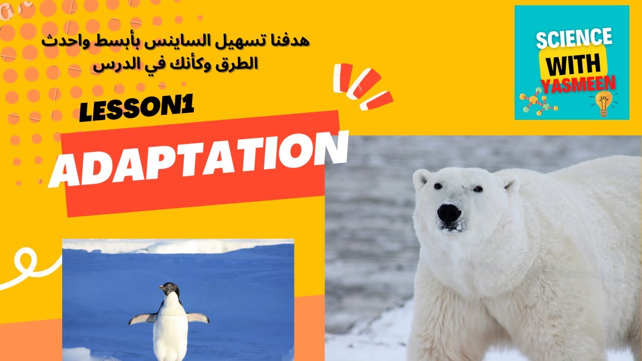 Science Grade4 lesson 1 Adaptation - YouTube