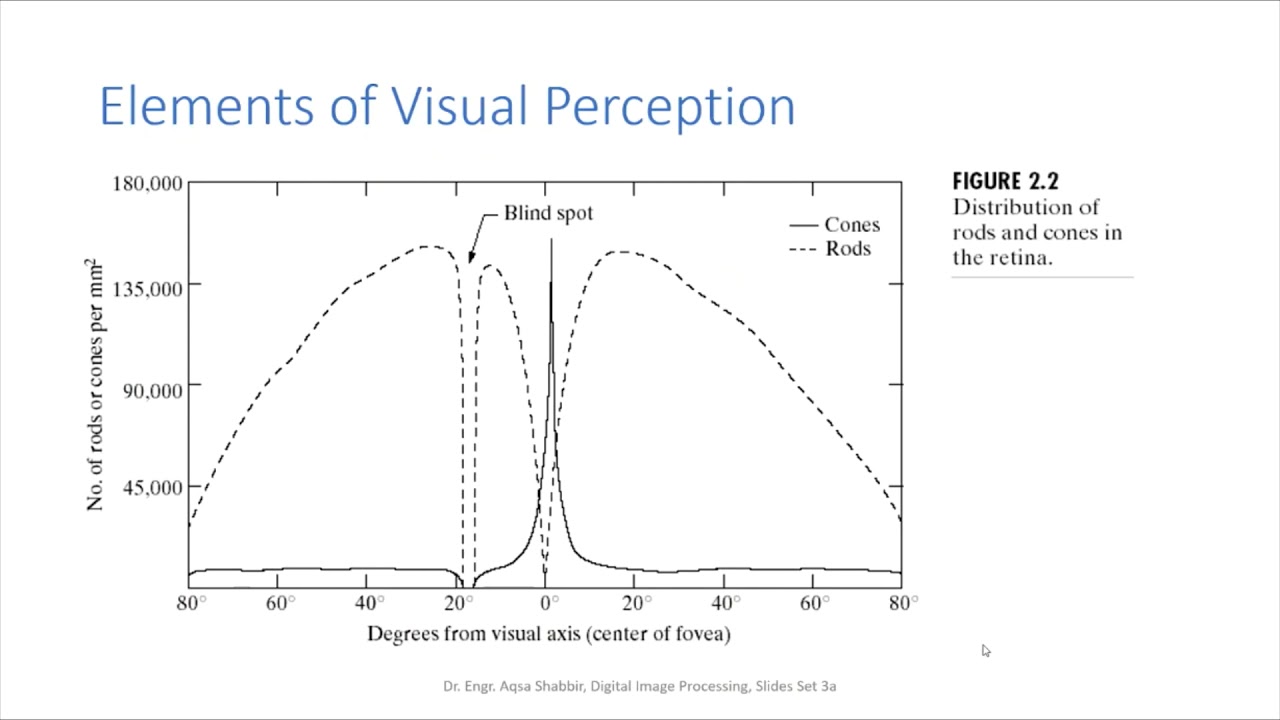 Visual Perception PART A - YouTube