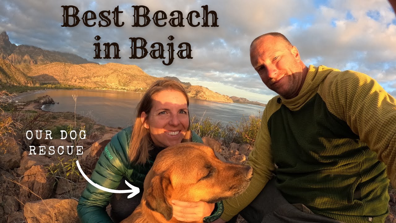 Best Beach in Baja Mexico, Free Camping Epic Sunrises and We Rescue a ...