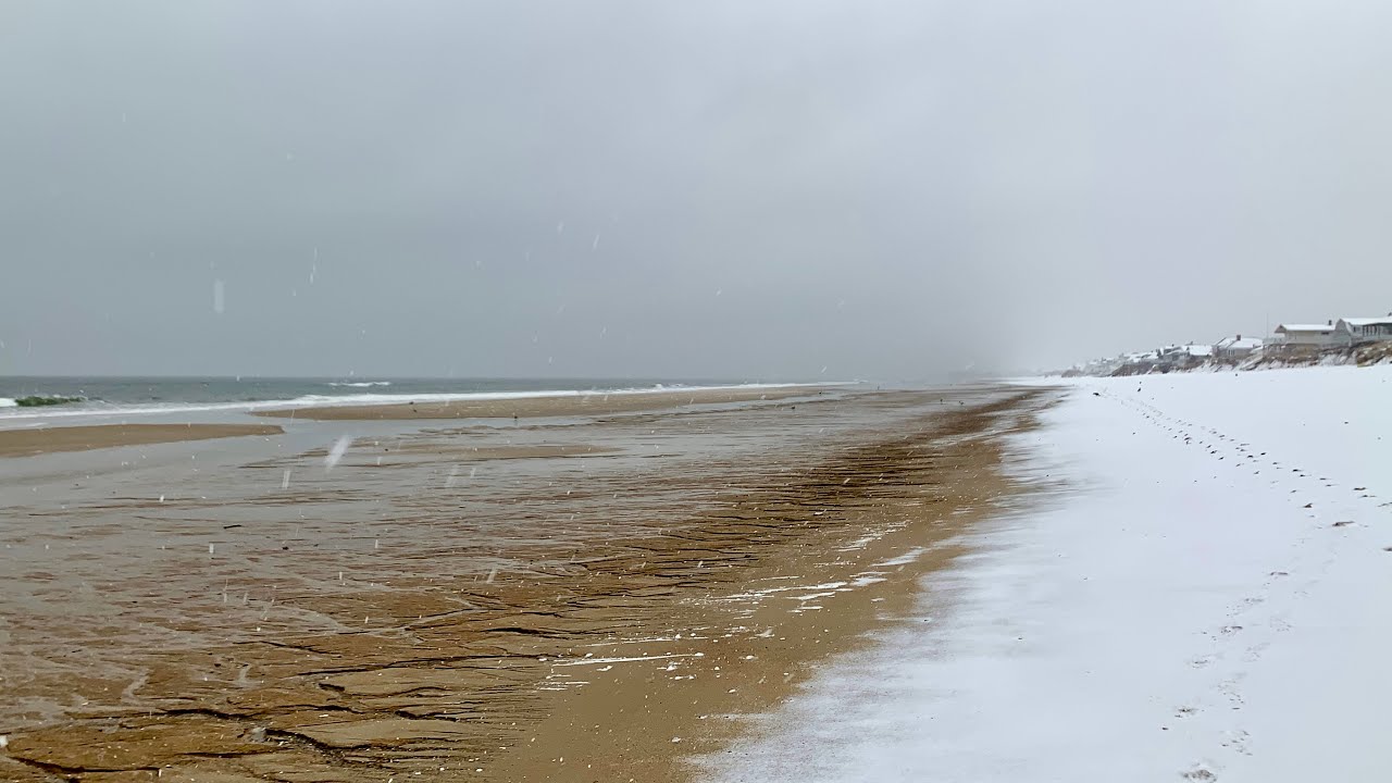 Snowstorm at the Beach - A Morning with the Seagulls and Sandpipers in ...