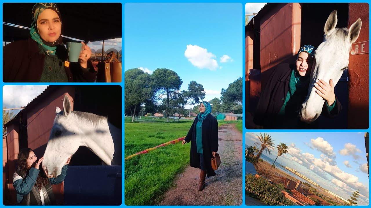 واخا البرد جبتلكم فين تخرجوا فالرباط : منظر رائع، خصوصا لعشاق الخيول 🐴🐎 ...