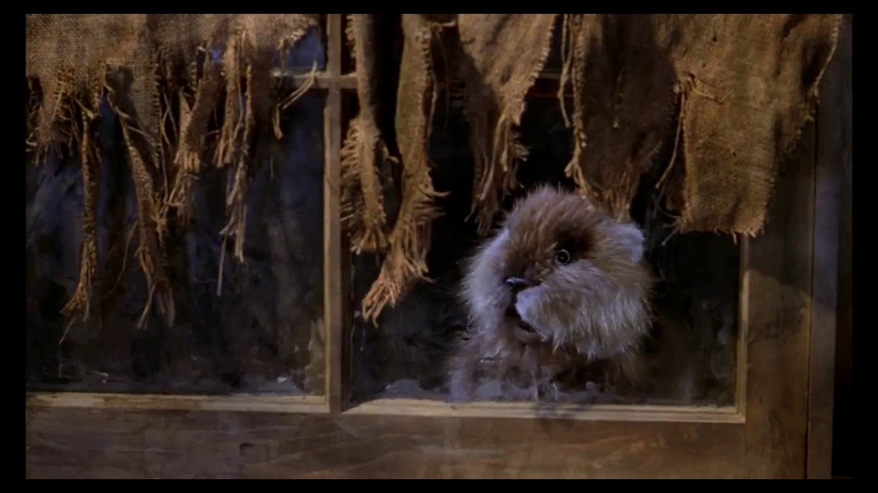 Bill Murray as Carl in Caddyshack think like a animal - YouTube