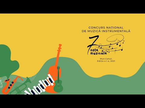 Moscaliuc David [Instrumente populare] Categoria I #7notemuzicale - YouTube