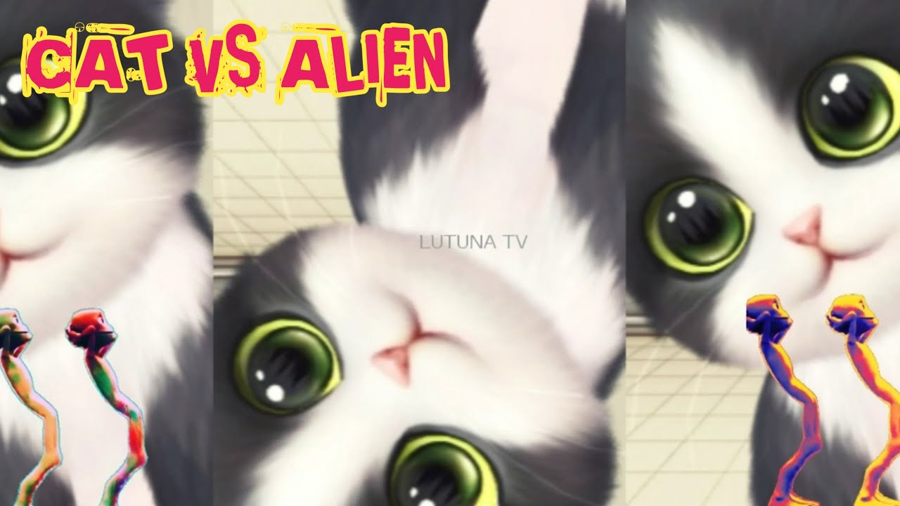 KUCING MEONG MEONG VS ALIEN DANCE VS MAINAN KUCING TOWER BOLA - YouTube