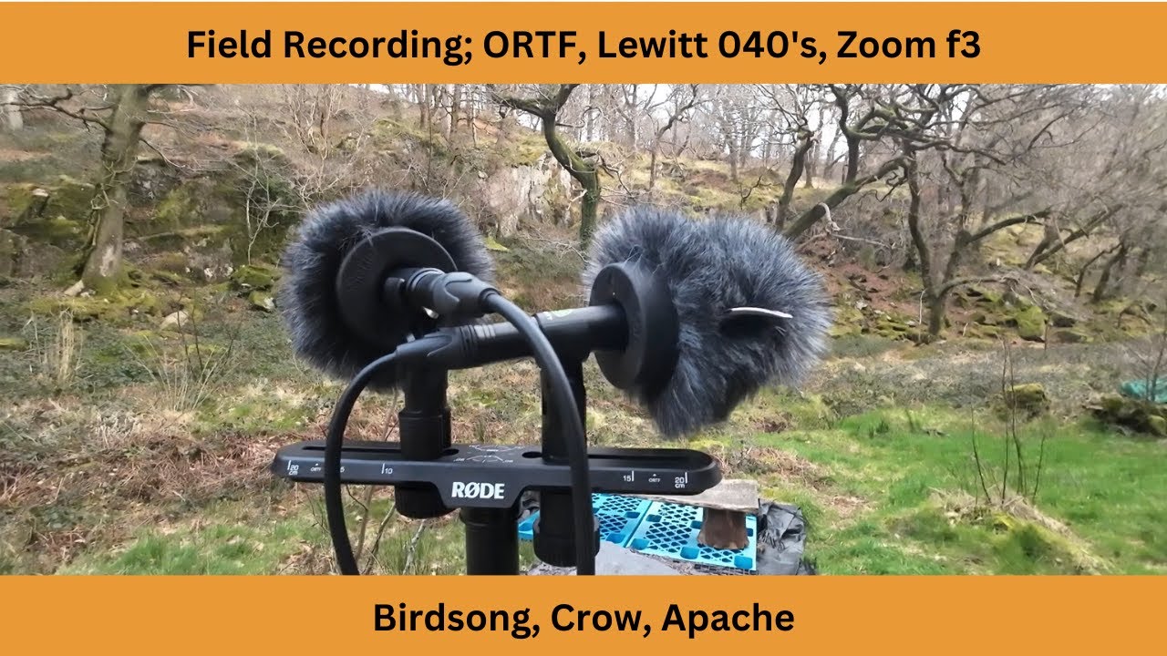 Field Recording Test: ORTF with stereo pair of Lewitt 040's and Zoom f3 ...