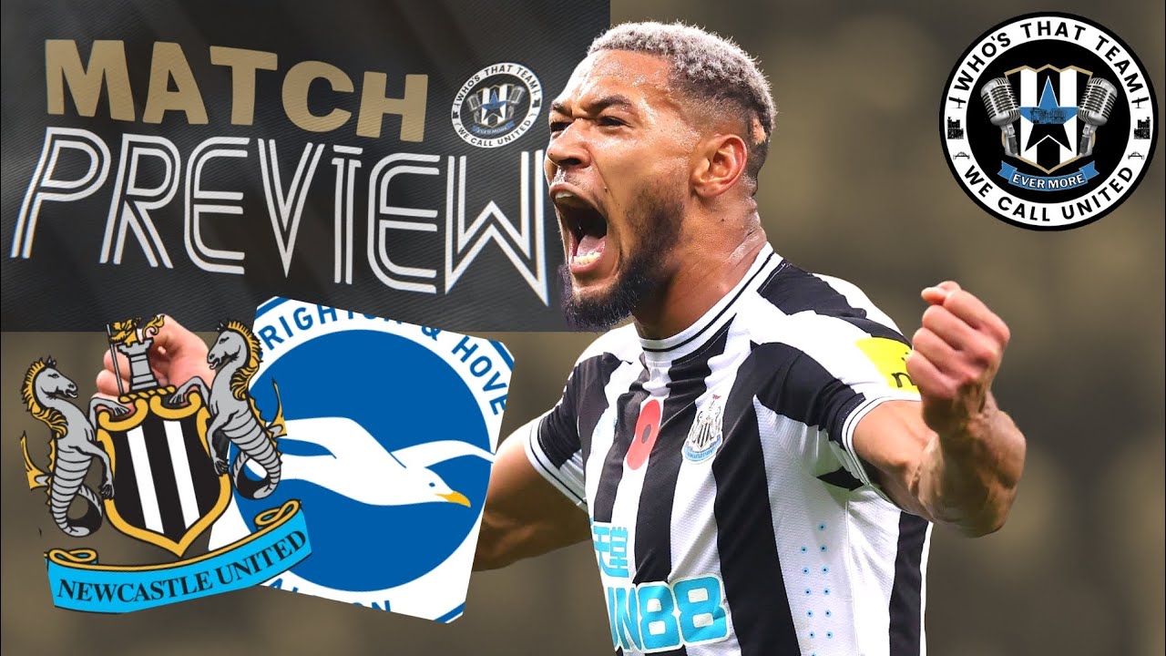 NUFC MATCH PREVIEW | Newcastle United v Brighton - YouTube
