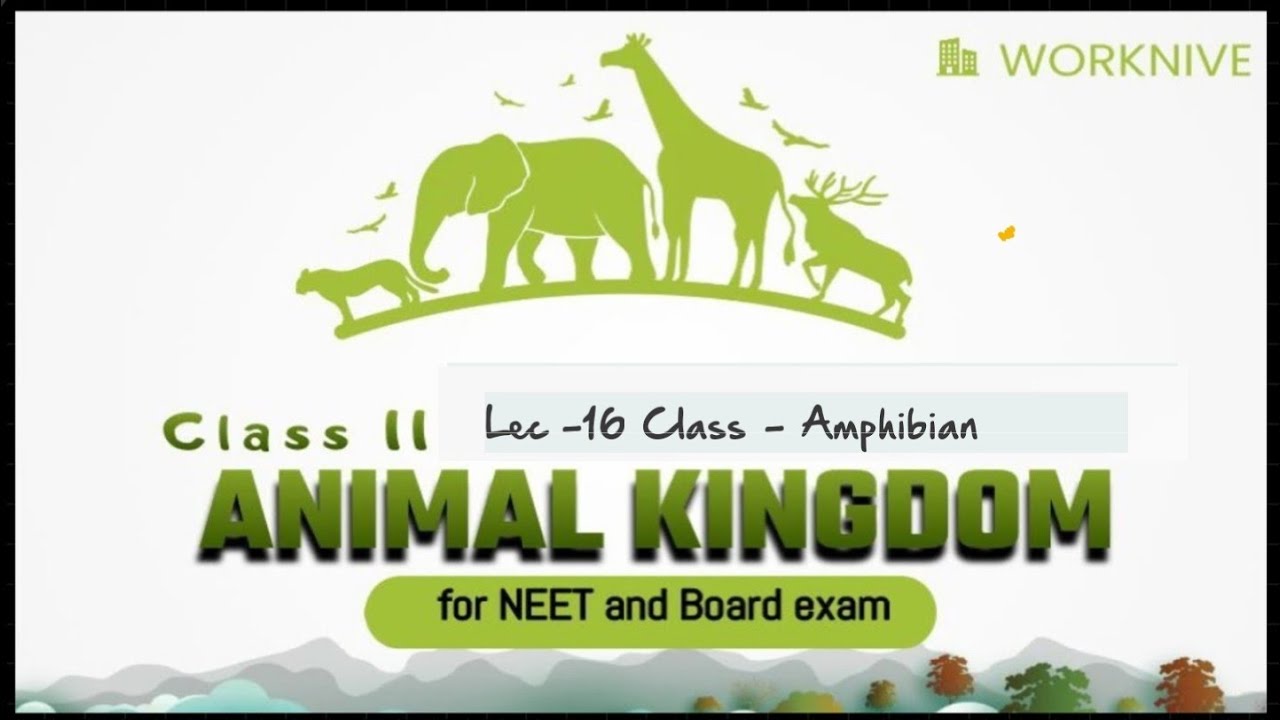 Lec 16 l Class - Amphibian l Animal Kingdom l Biology l Neet2025 - YouTube
