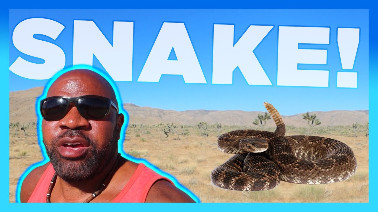 SNAKE! | Joshua Tree National Park | Palm Springs | Part 2 ||Skybobbytv ...