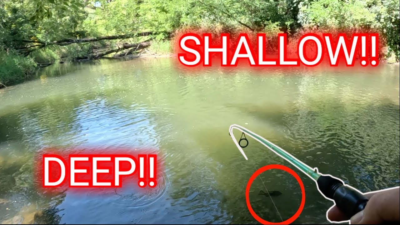 Fishing DEEP HOLES in a SHALLOW CREEK! - YouTube