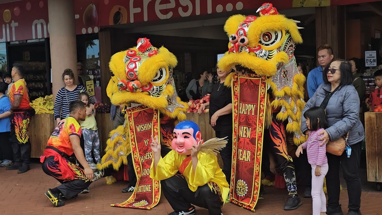 Year of Snake Lion Dance, Don't miss the fire crackers at the end ...
