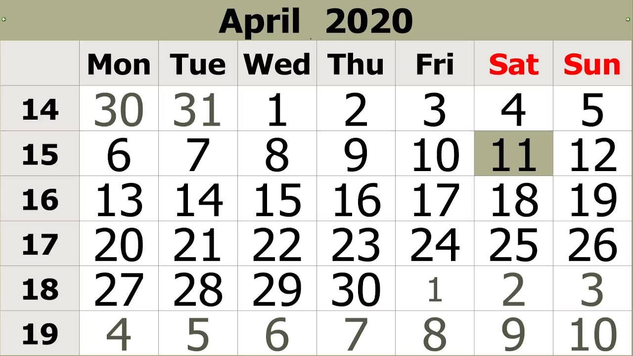 11.04.2020 04/11/2020 102/366 - YouTube