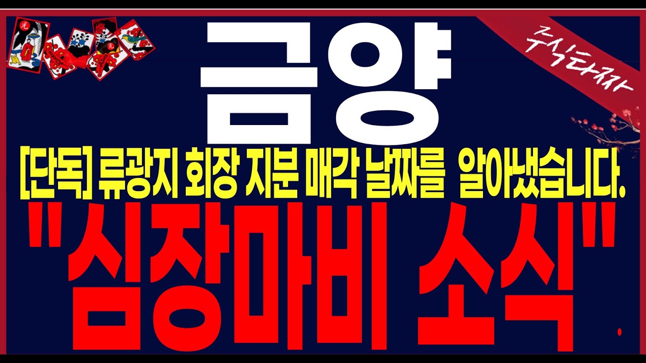 금양 주가 전망 단독류광지회장지분매각을 통한 유상증자참여하는 진짜이유노출합니다미공개정보금양 금양주가전망 금양주가