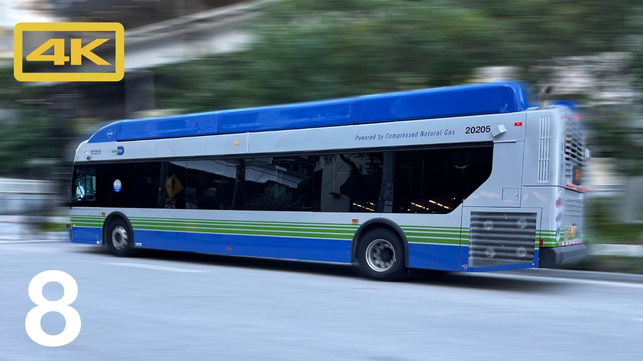 Miami Dade Transit Buses Mini