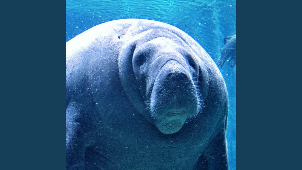 Ella Poop Fart Song - YouTube