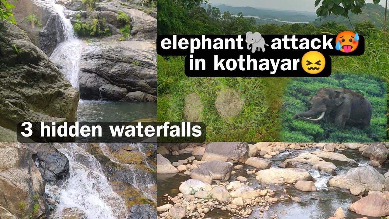Kanyakumari hidden places|kothayar|🐘elephant attack 🥵🤯|#ltvlog#trending ...