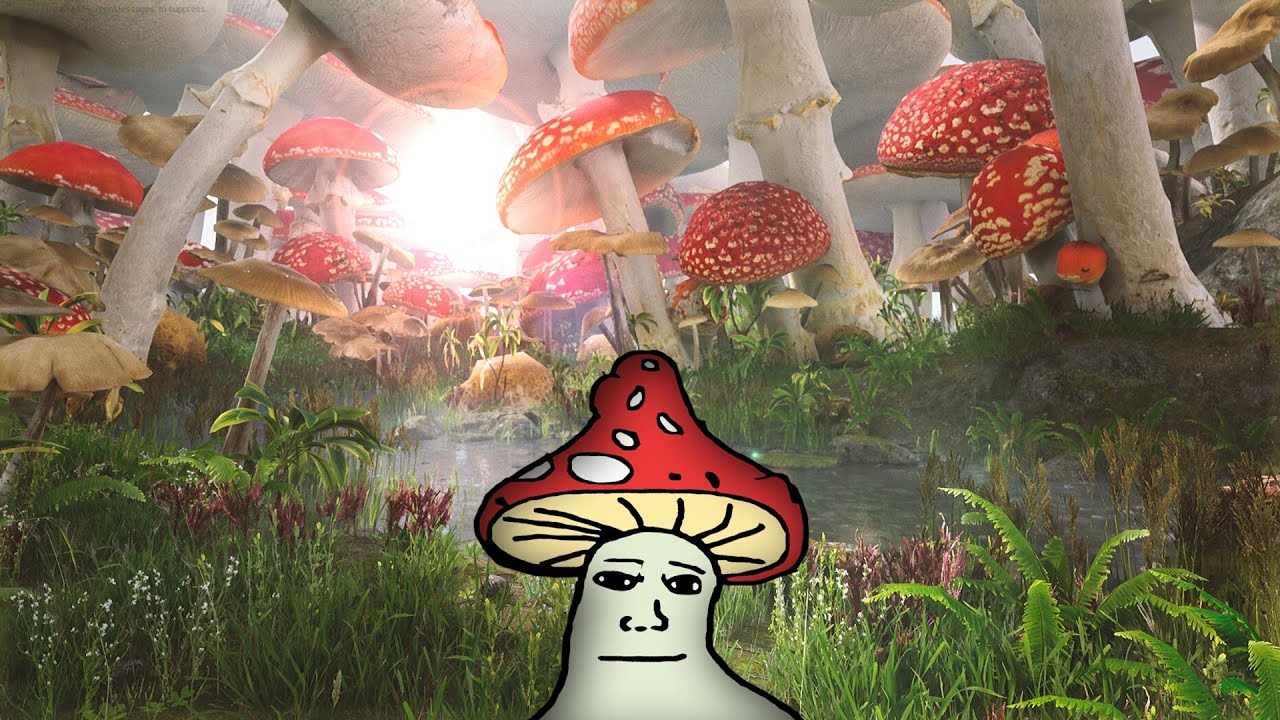 The Shroomer - YouTube