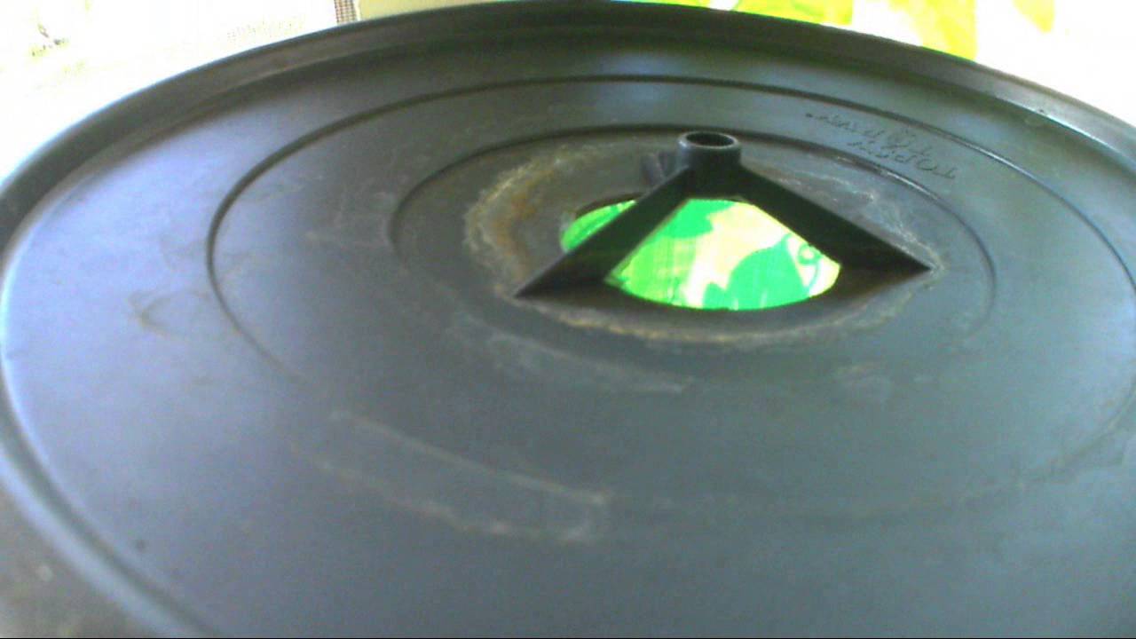 Organic cherry tomato plant in a topsy turvy - YouTube