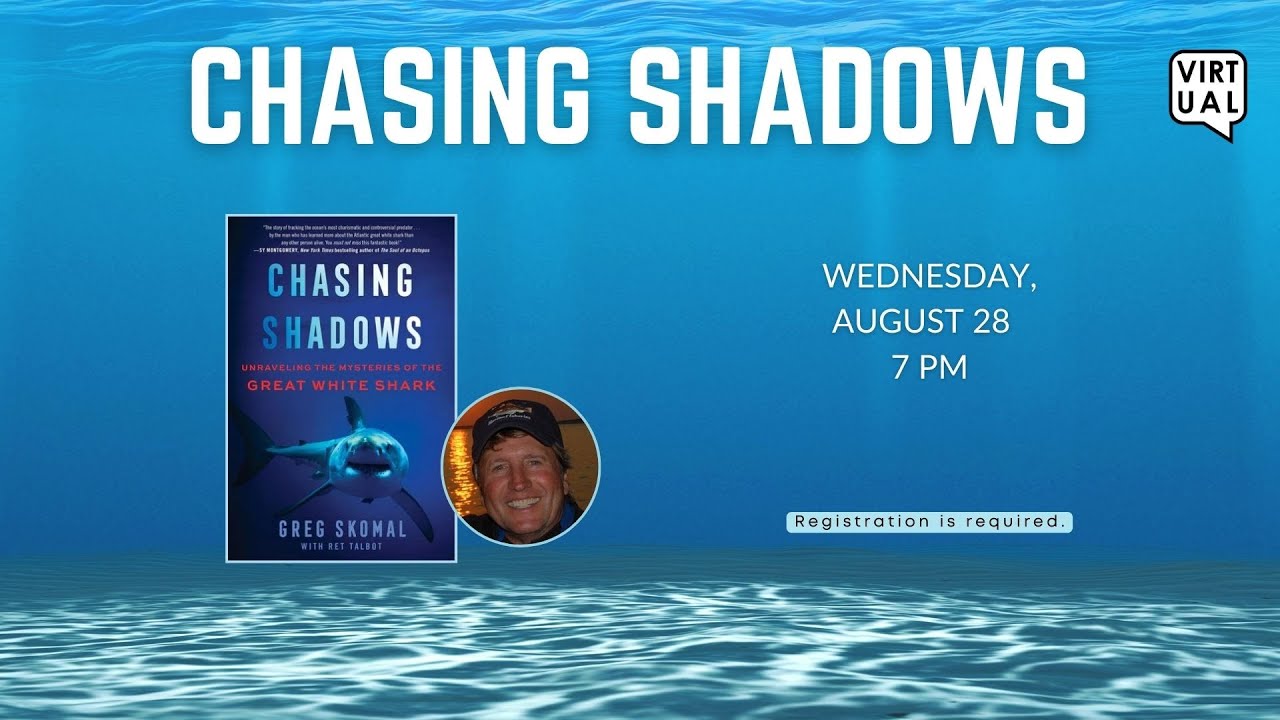 Chasing Shadows: My Life Tracking the Great White Shark with Dr. Greg Skomal - YouTube