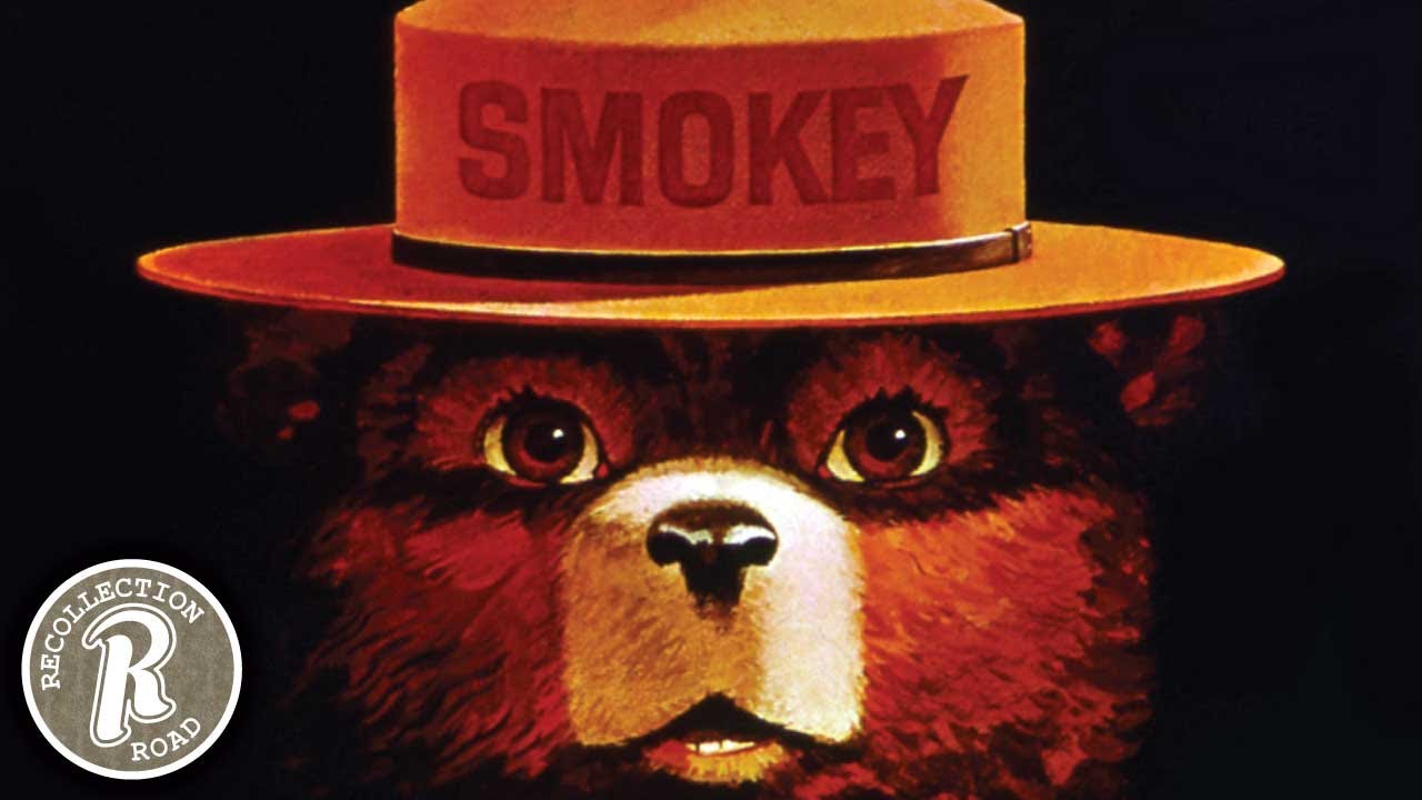 The Story of SMOKEY BEAR - Life in America - YouTube