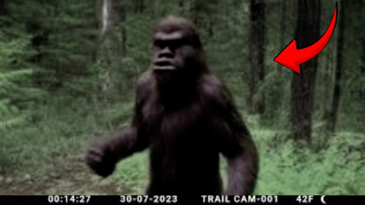 Les créatures effrayantes les plus dérangeantes capturées par une ...