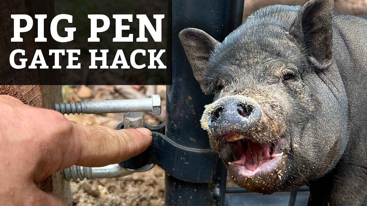 Pig Pen Gates