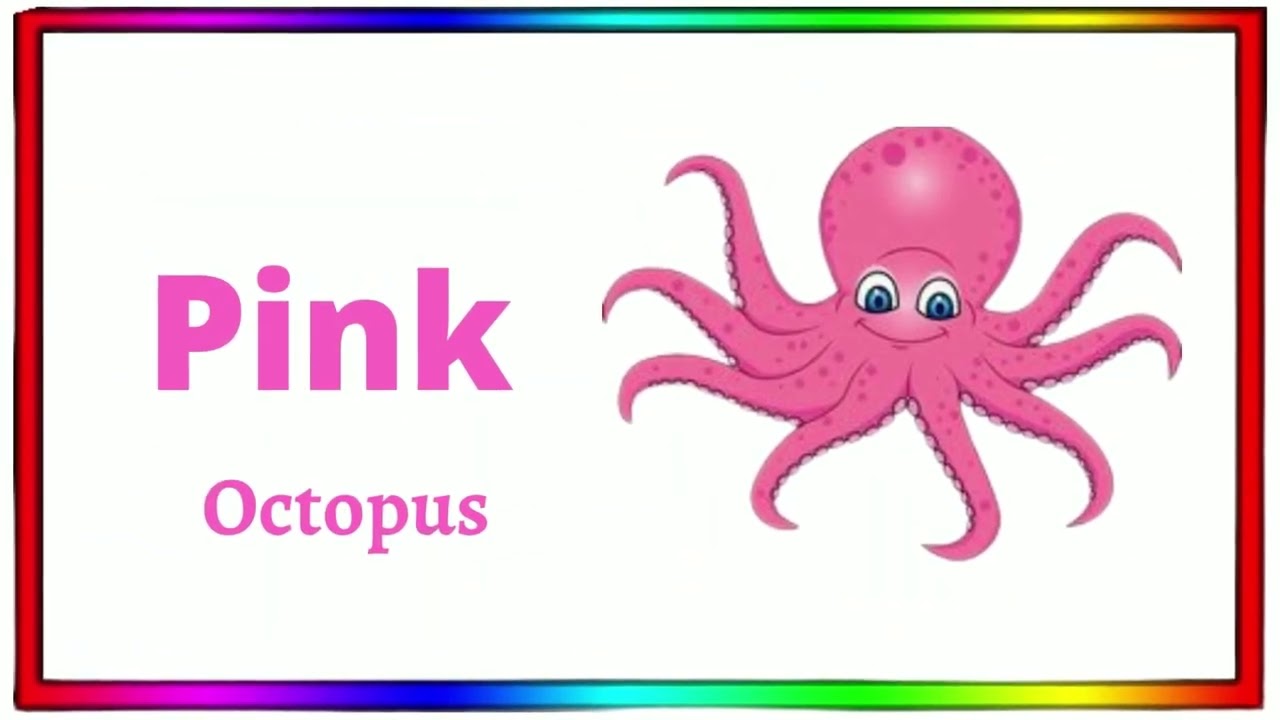 The Colours around us - Ready Steady Go! The easy & fun way to Learn ...