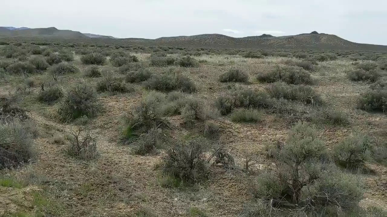 Detecting Wet Ground YouTube detecting-wet-ground-youtube