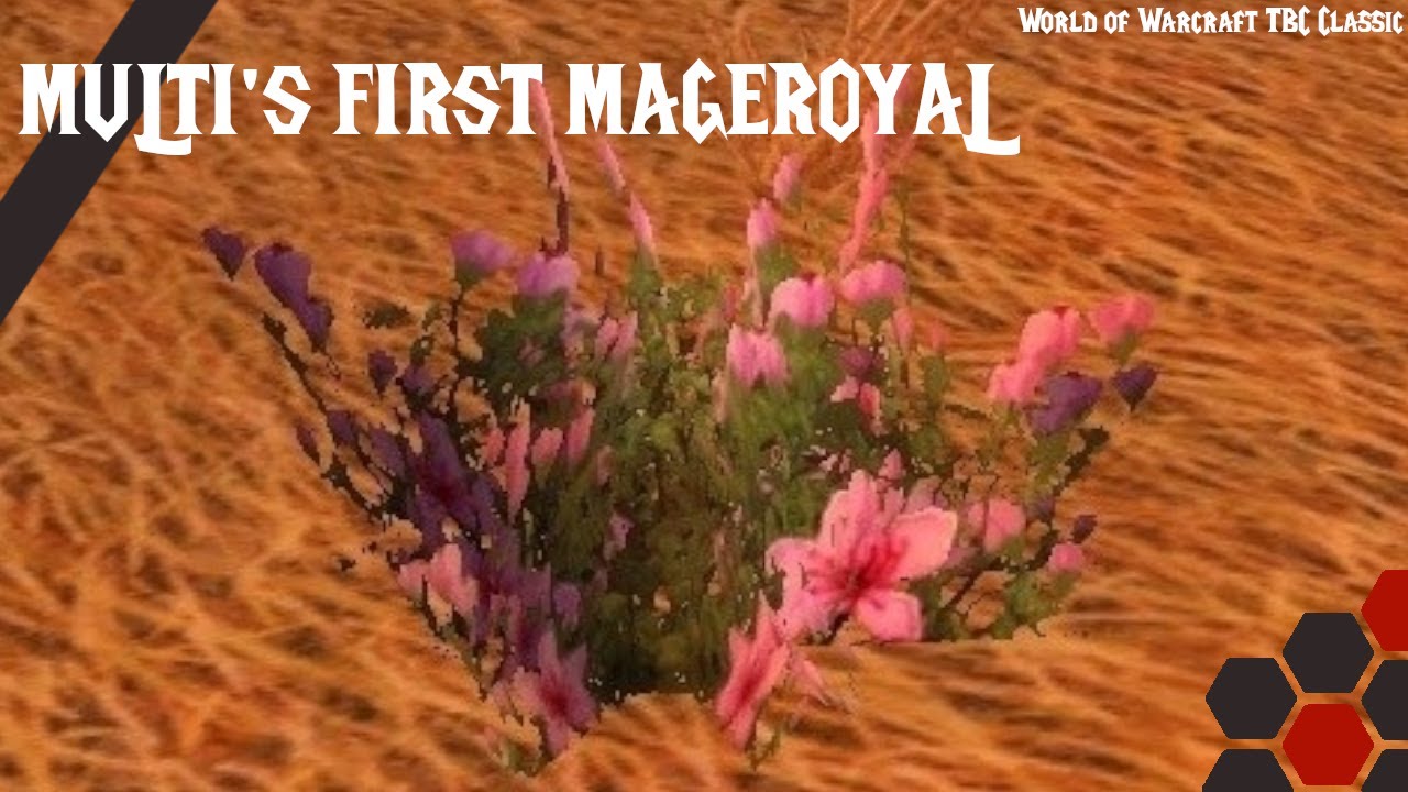 Multi harvests his first Mageroyal - WoW TBC Classic - YouTube