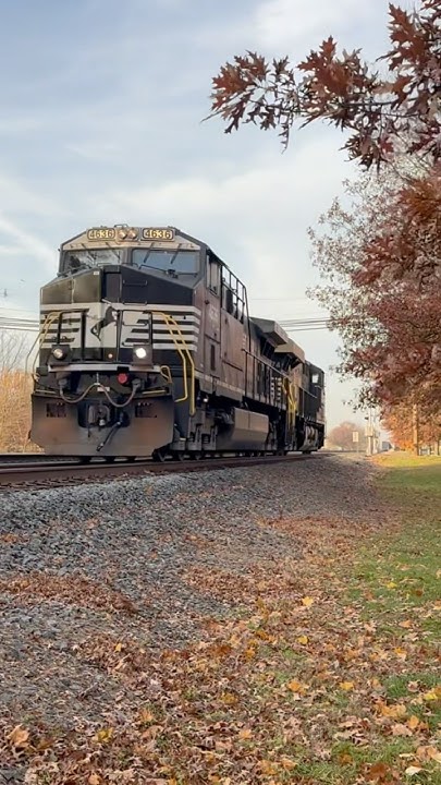 NS 8174 and NS 4636 NS 62Vs power returning to their train after working the Bri 11/17/2023 ...
