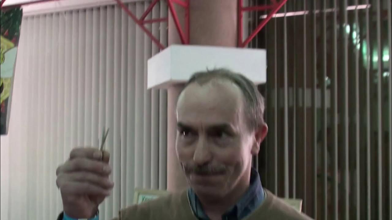 Корпус улья из пенополистирола изготовьте сами. - YouTube