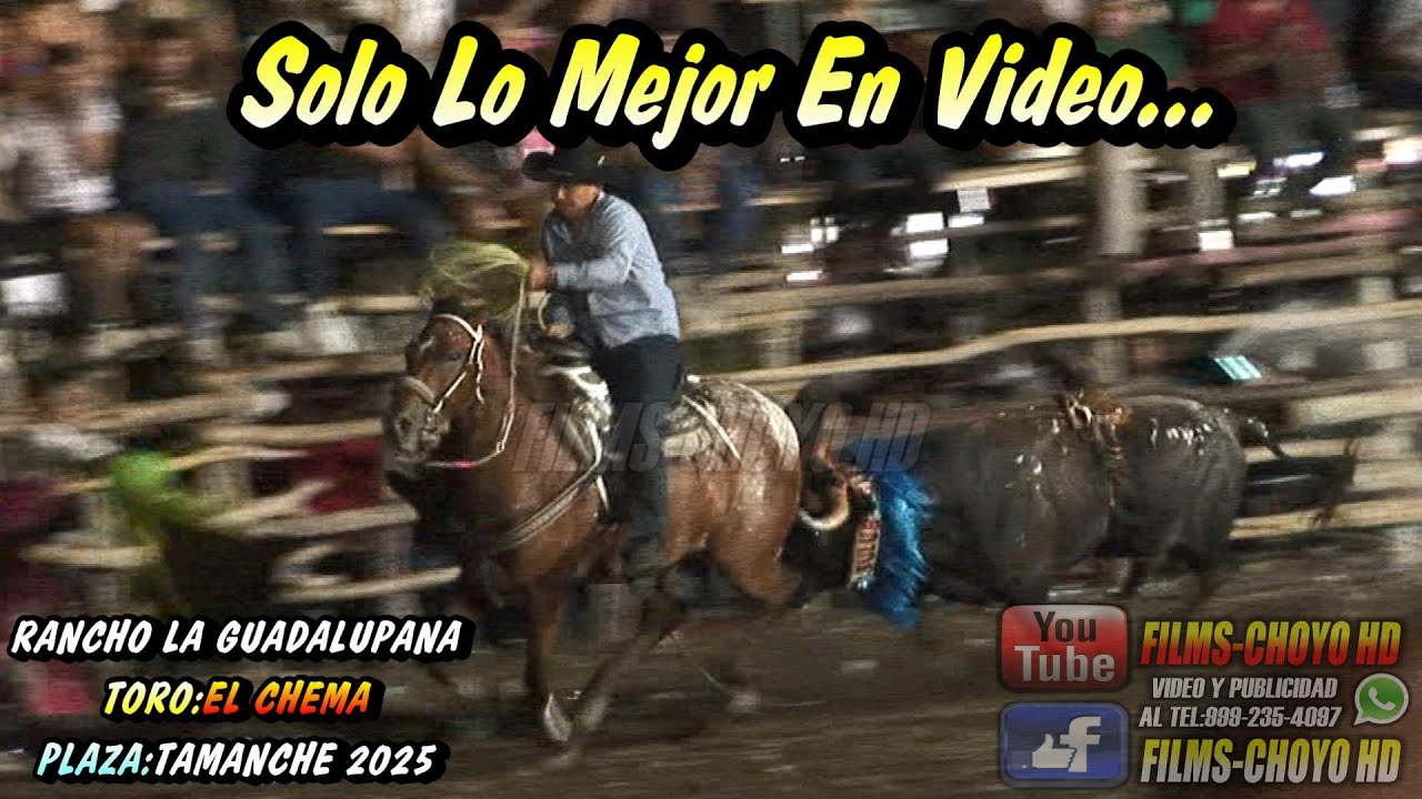 TORO EL CHEMA EN LA CORRIDA DE PROMESAS DE TAMANCHE YUCATAN DOMINGO 16 ...