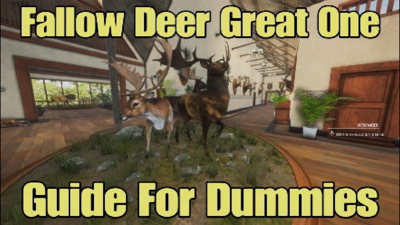 Fallow Deer Herd Management For Dummies - YouTube