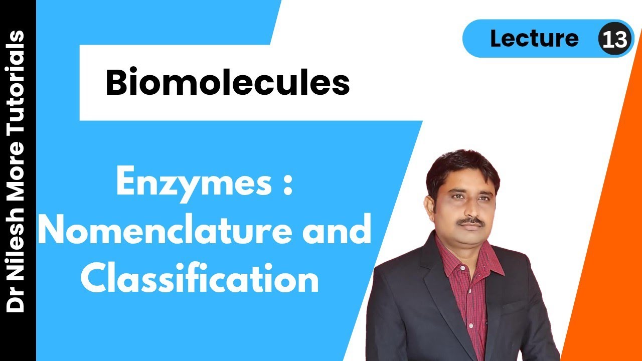 Biomolecules | Enzymes : Nomenclature and Classification | Lecture 13 ...