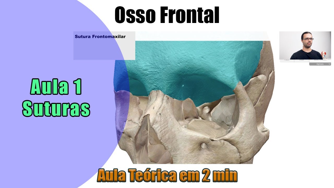 Osso Frontal - Aula Teórica - Suturas - Parte 1 - YouTube