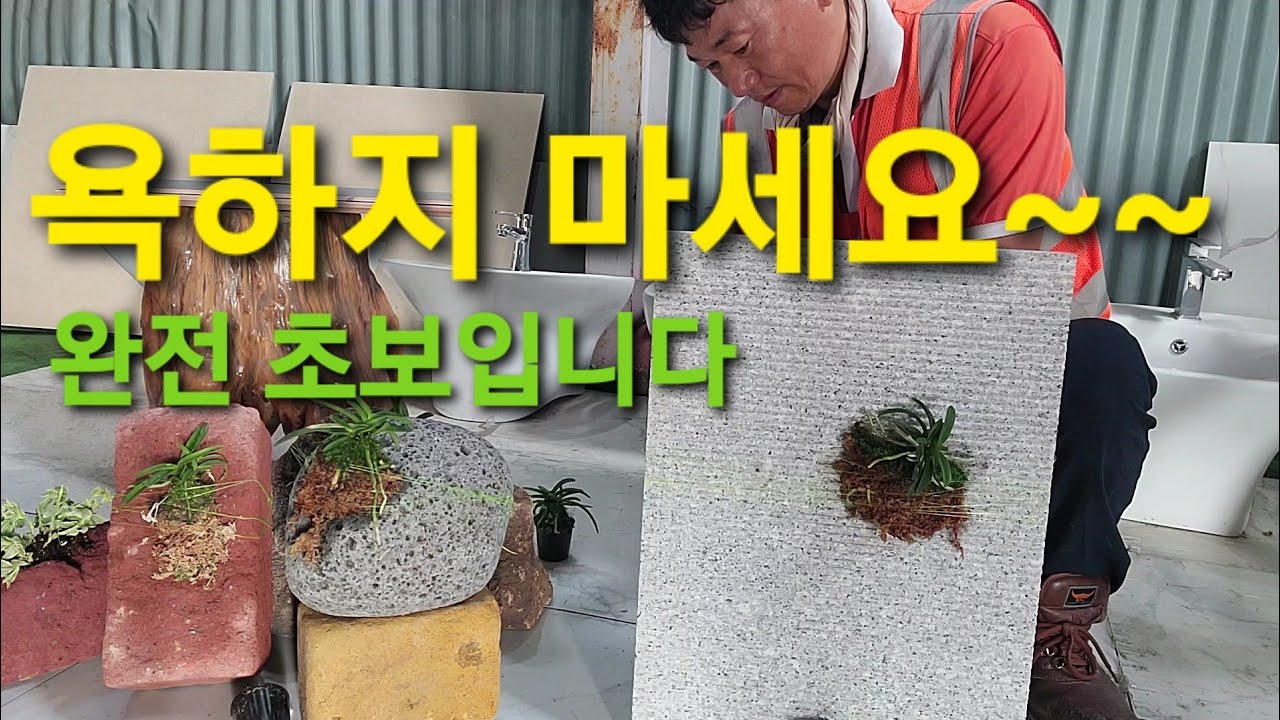 토목 흙과나무 코리아 집꾸미기 다육식물 정원 테라스인테리어 다육이 바위솔 키우기 도전해봄니다 Youtube