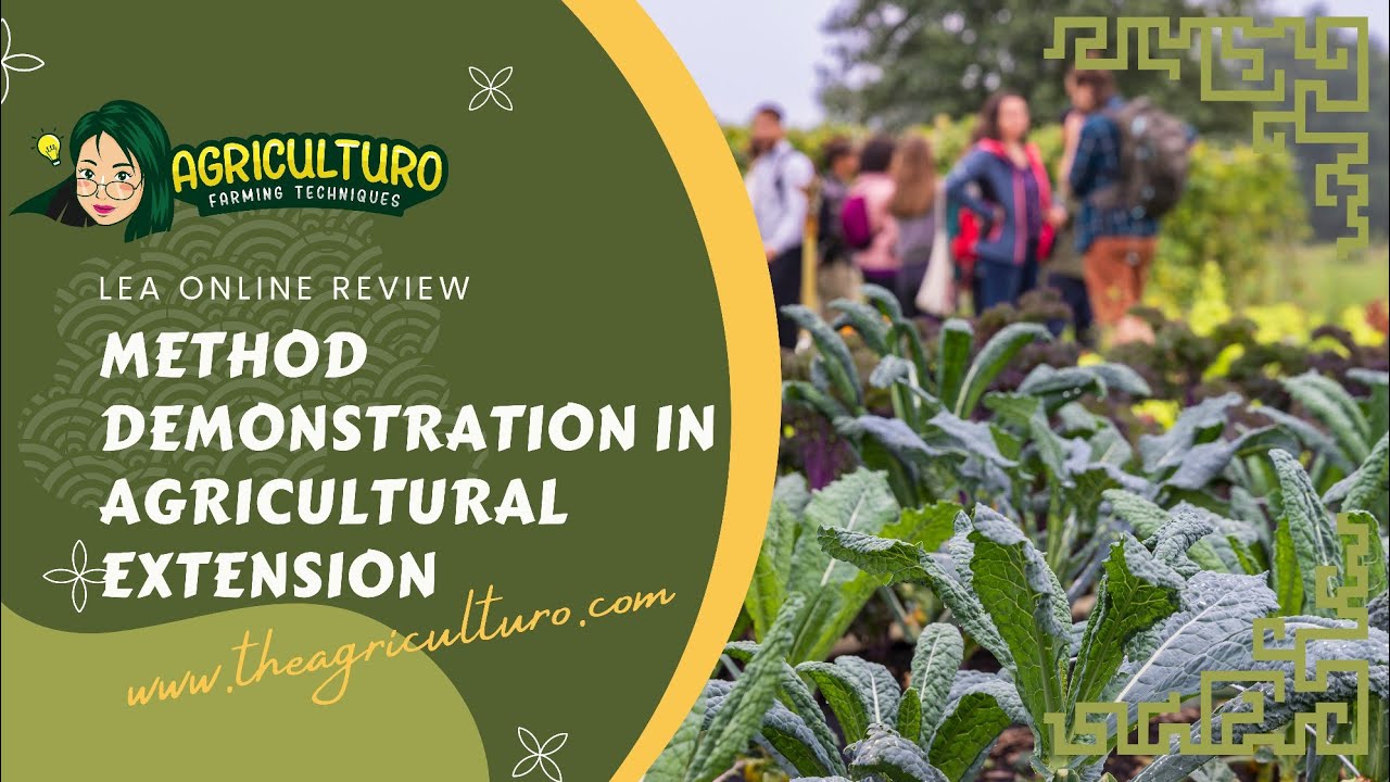 Method Demonstration in Agricultural Extension - YouTube