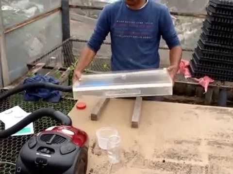 Sembradora de bandejas de germinación - YouTube