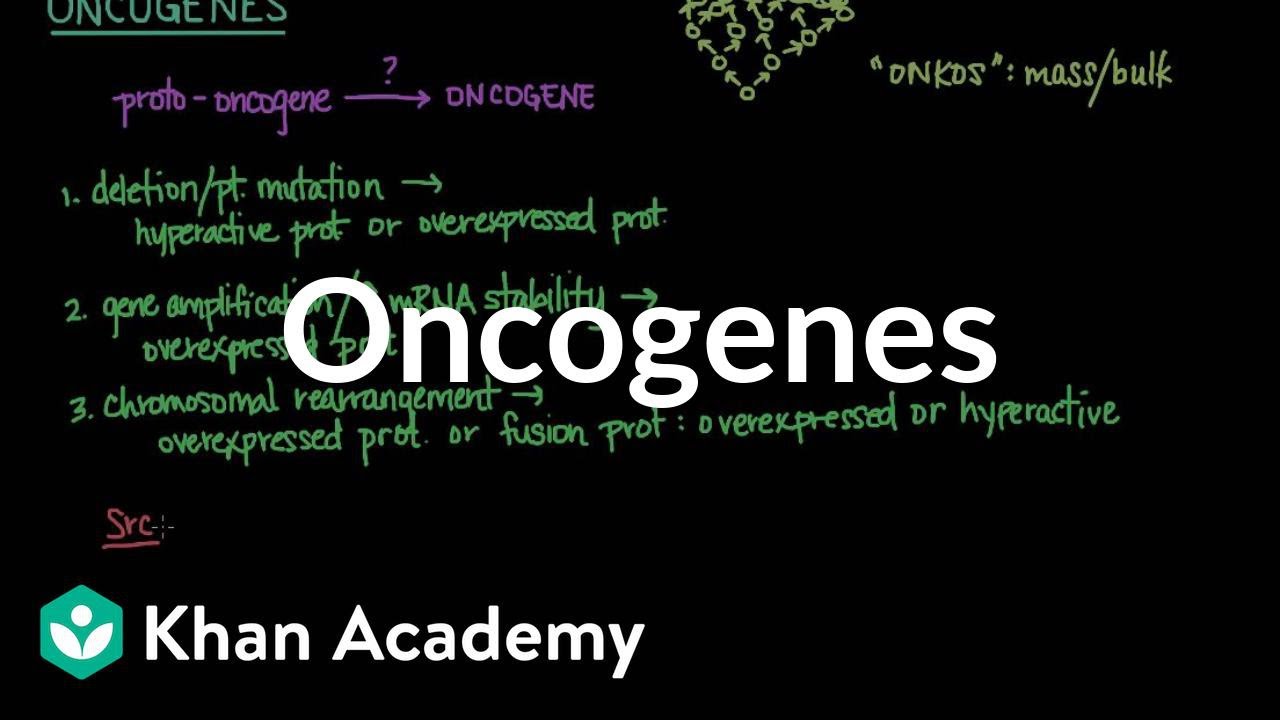 Oncogenes | Biomolecules | MCAT | Khan Academy - YouTube