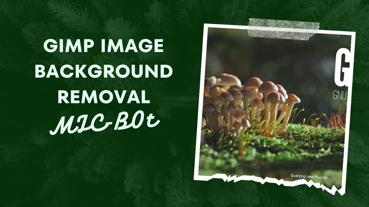 HUEFORGE Video Request: GIMP (GNU Image Manipulation Program) Image Background Removal Walk ...