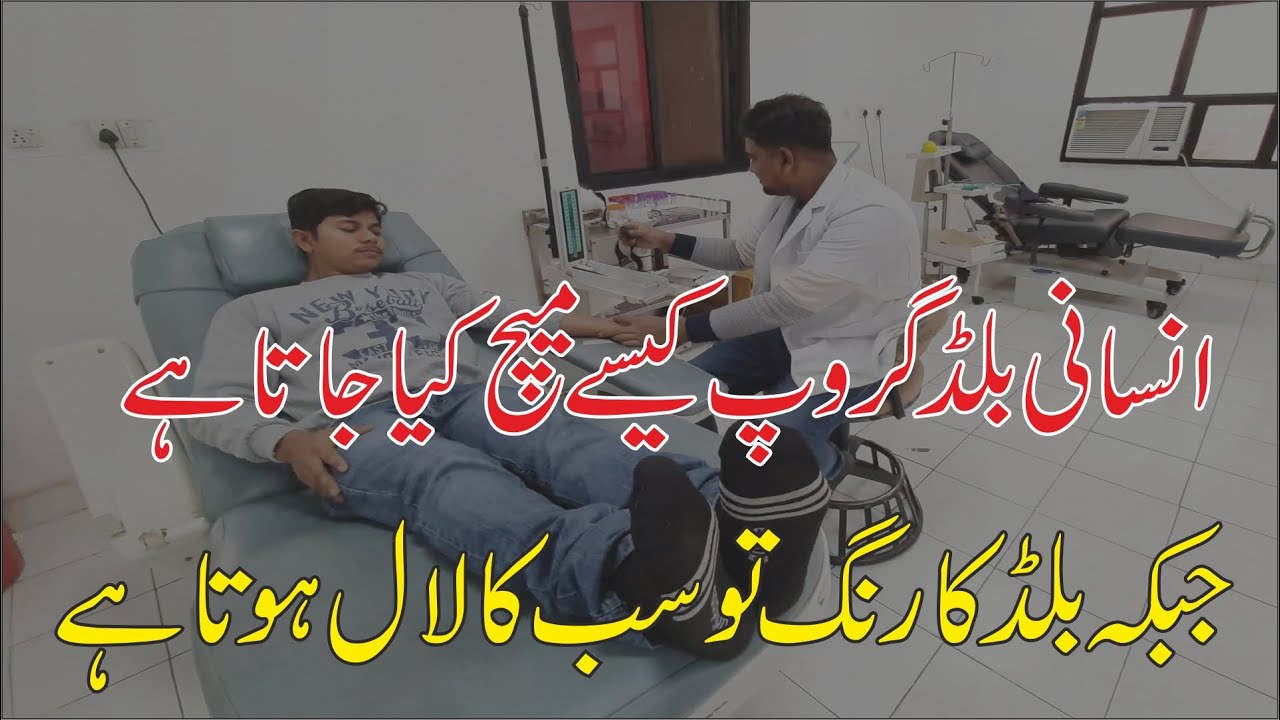 Insan Ka Blood Group Kesay Match Kia Jata Hai Irfan Raza Diaries insan-ka-blood-group-kesay-match-kia-jata-hai-irfan-raza-diaries