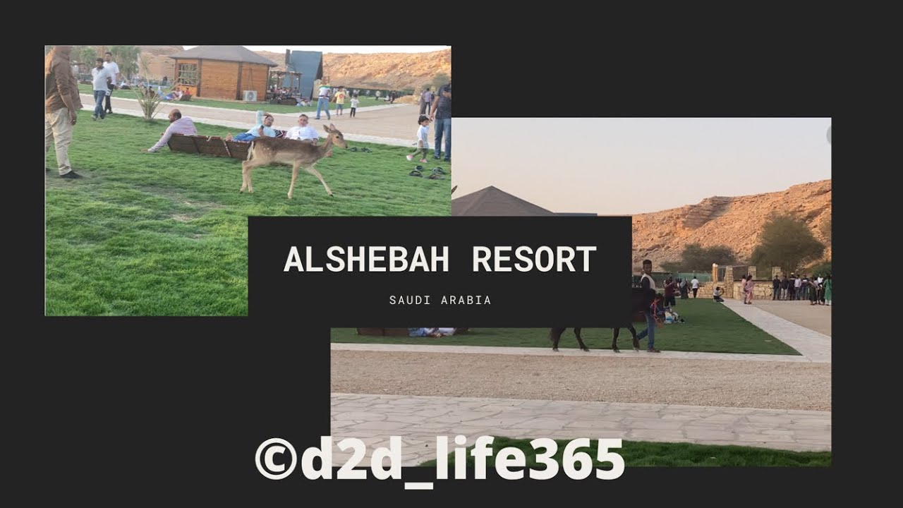 AL SHEBAH RESORT (150 KM far away from Riyadh ) #zoo #resort # ...