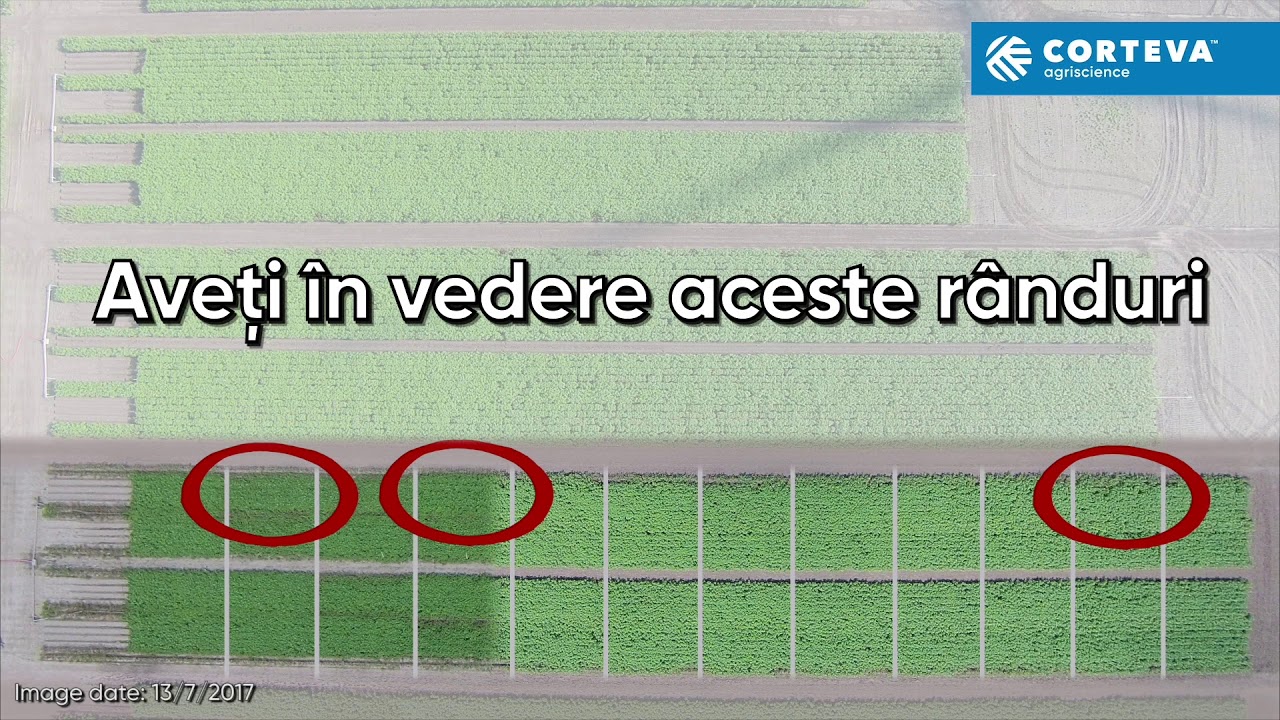 Schema de aplicare Zorvec™ active la cultura de cartof - YouTube