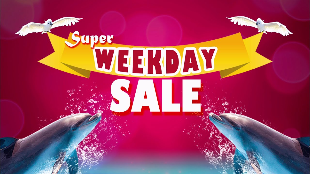 Super Weekday Sale - Upto 50% Off Dolphin Show - YouTube