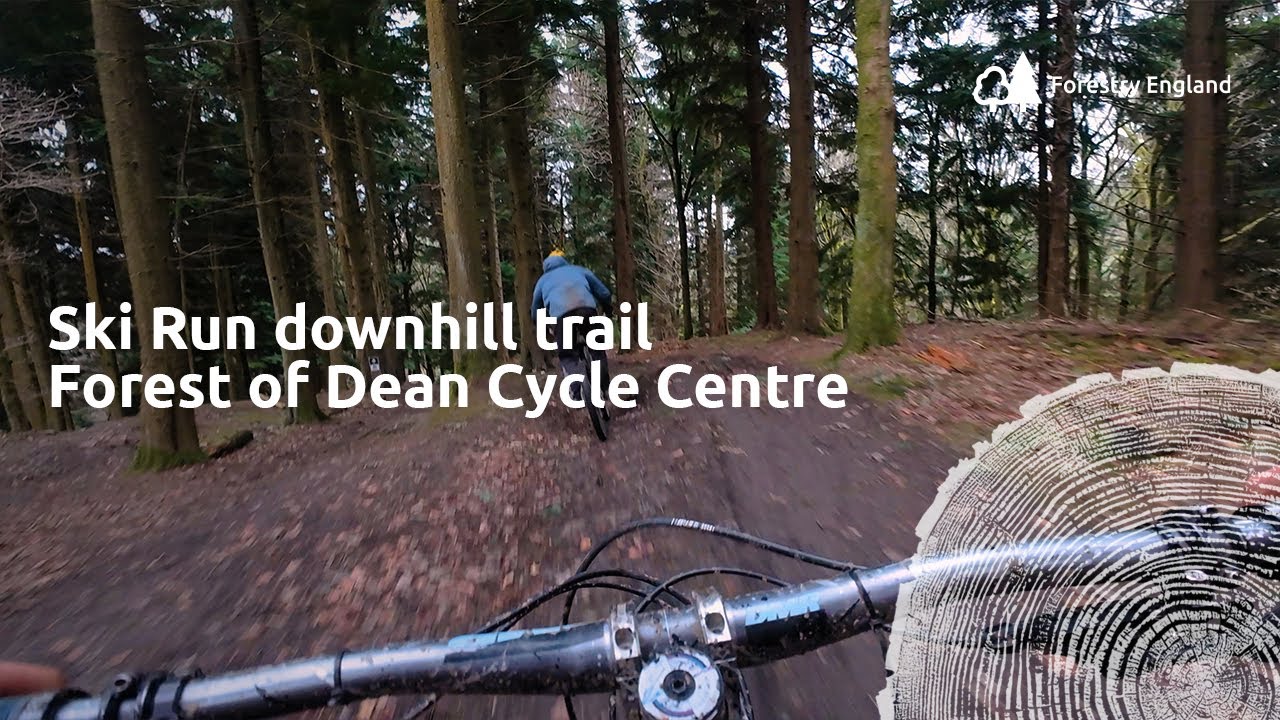 Ski Run | double black downhill mountain bike trail PoV | Forest of ...