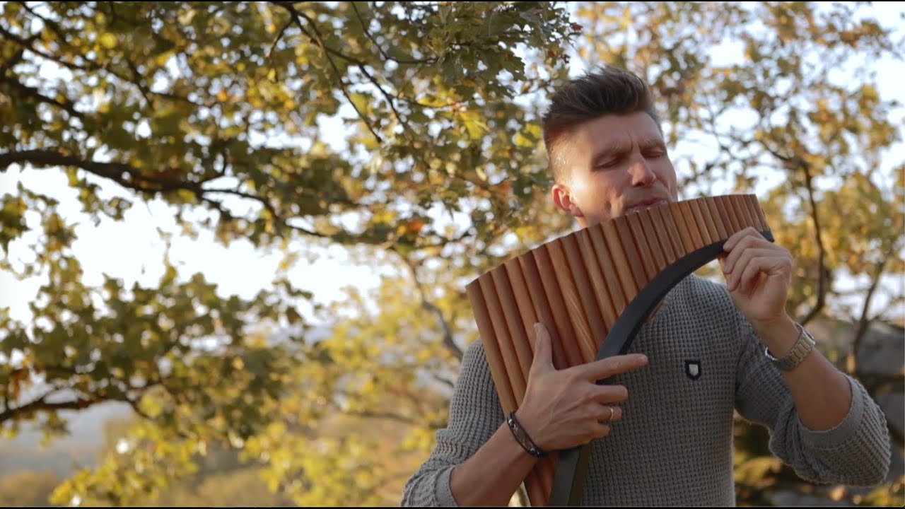 Stern auf den ich schaue (The Star to Whom I Look) | David Döring | Pan ...