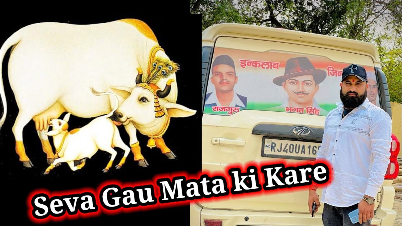 Sewa Gau Mata Ki Kare// Gau Raksha Dal Tijara V Gau Raksha Dal Bhiwadi ...