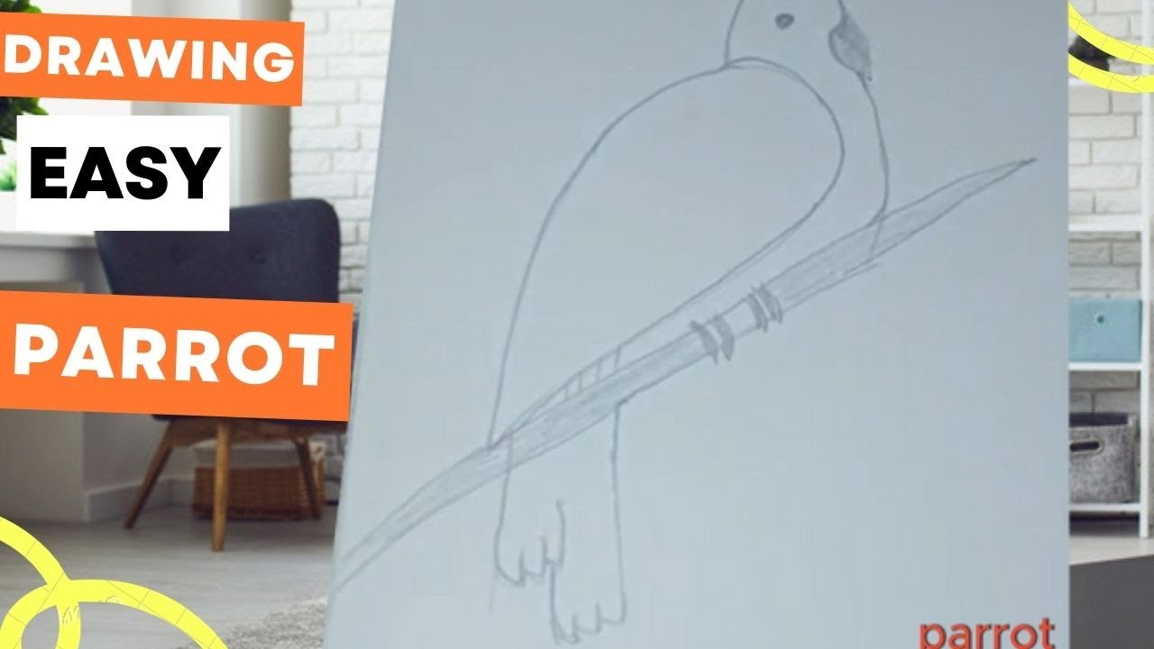 parrot drawing easy , parrot drawing easy step by step - YouTube
