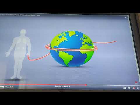 Dolaşım sistemi şarkısı (solistler senanur(6/C), Selen (6/C),meltem öğretmen)